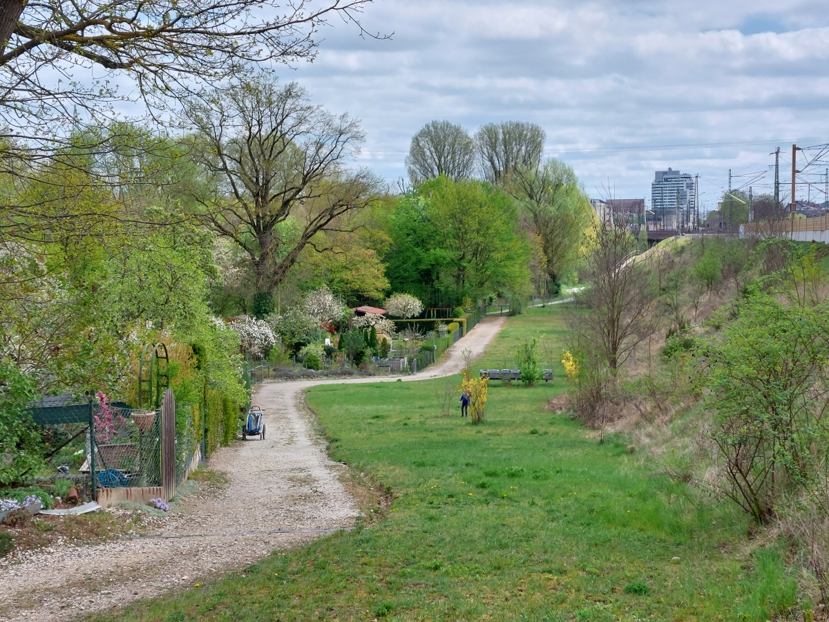 Datei:20250419 Sieb3a.jpg – FürthWiki