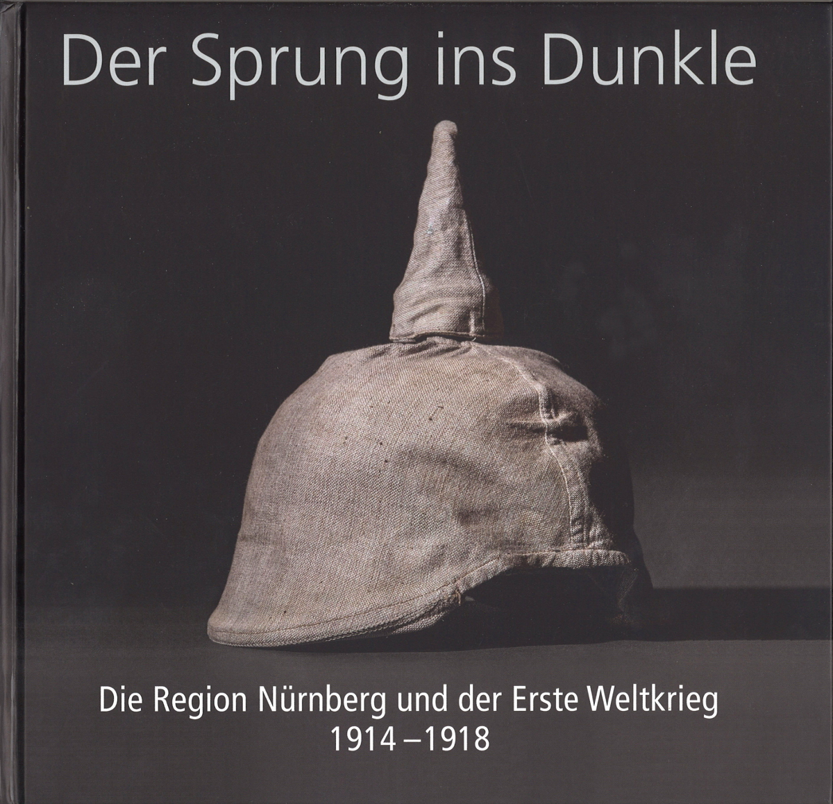 Der Sprung ins Dunkle (Buch) – FürthWiki